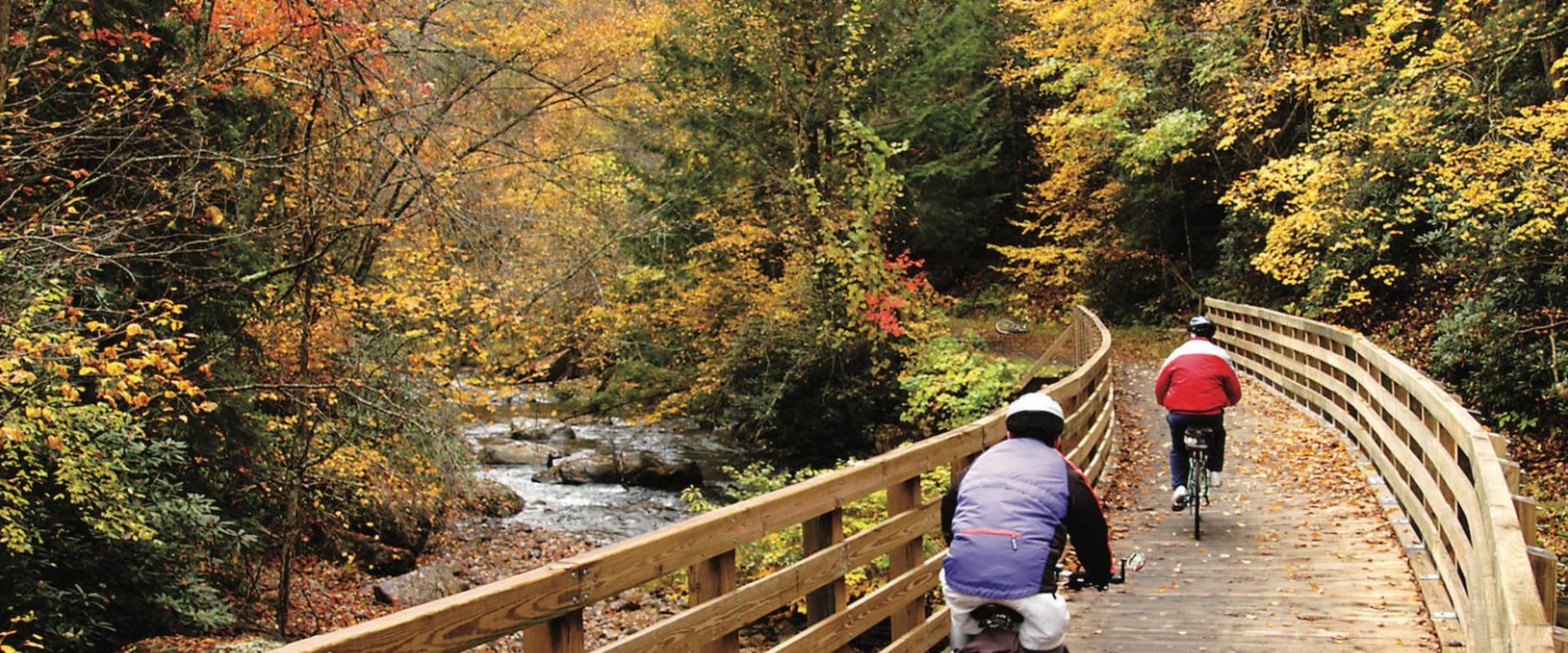 Cycling in Charlottesville, VA: A Cyclist's Guide to Fall Foliage